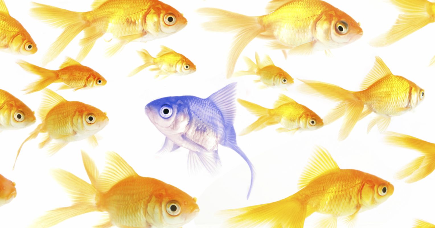 The Eternal Challenge of Conformity Pressure | Psychology Today