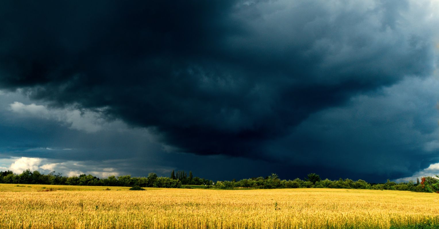 Metastability and the “Surprise Factor” in Overdrinking | Psychology ...