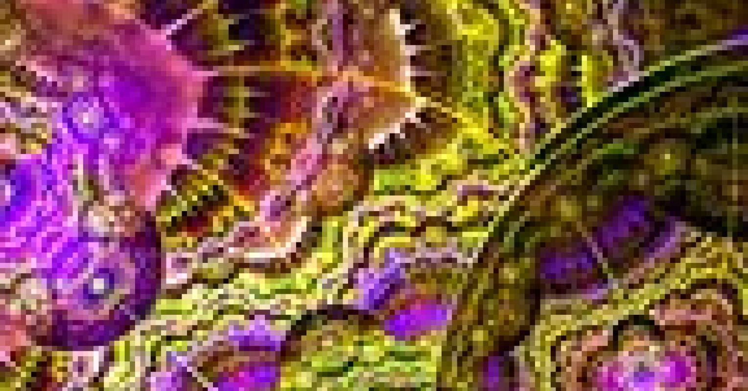 Do Psychedelic Worlds Really Exist? | Psychology Today