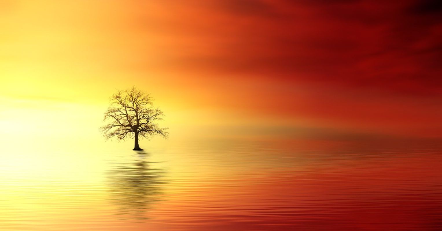 The History of Magic | Psychology Today Australia