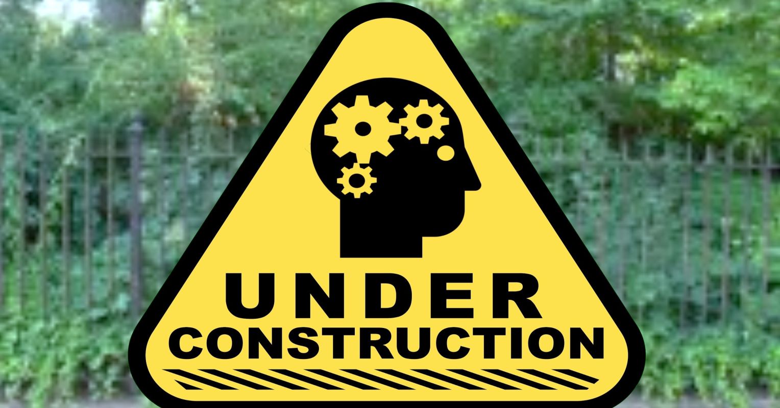 The Self-Made Human Brain | Psychology Today New Zealand