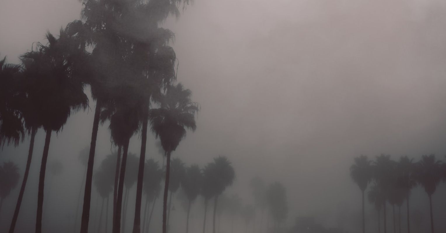 Coping With Calamity | Psychology Today