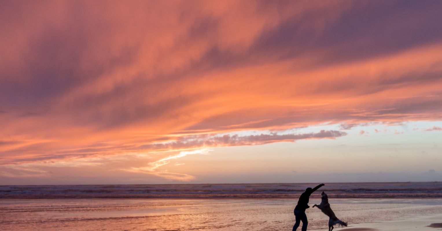 Experiencing the Loss of a Pet | Psychology Today New Zealand