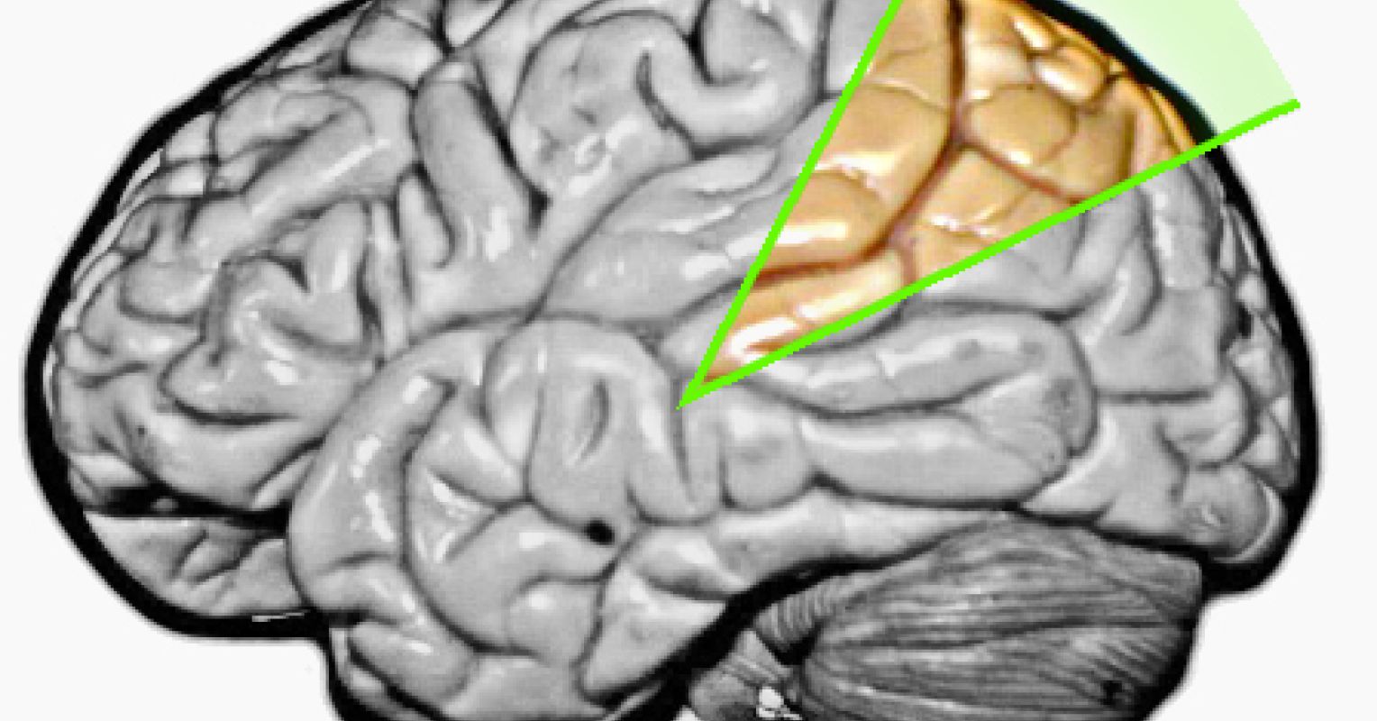 You Can't Use 100% of Your Brain and That’s a Good Thing | Psychology Today