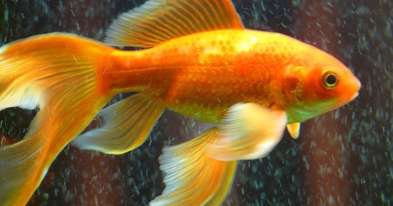 Say It in Seconds | Psychology Today