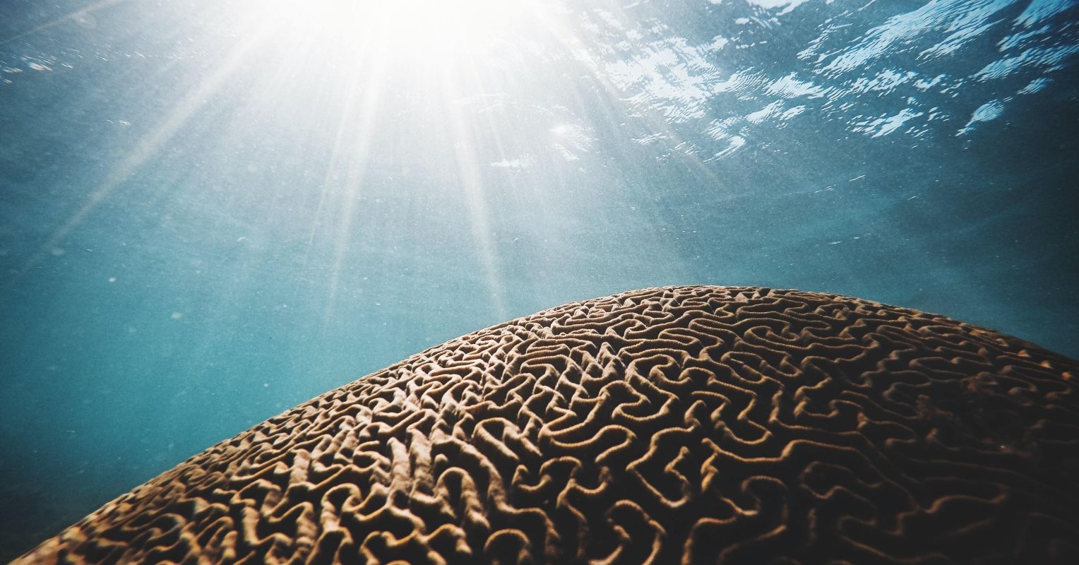 People's Lives Should Be Studied In a Rich Detailed Manner | Psychology ...