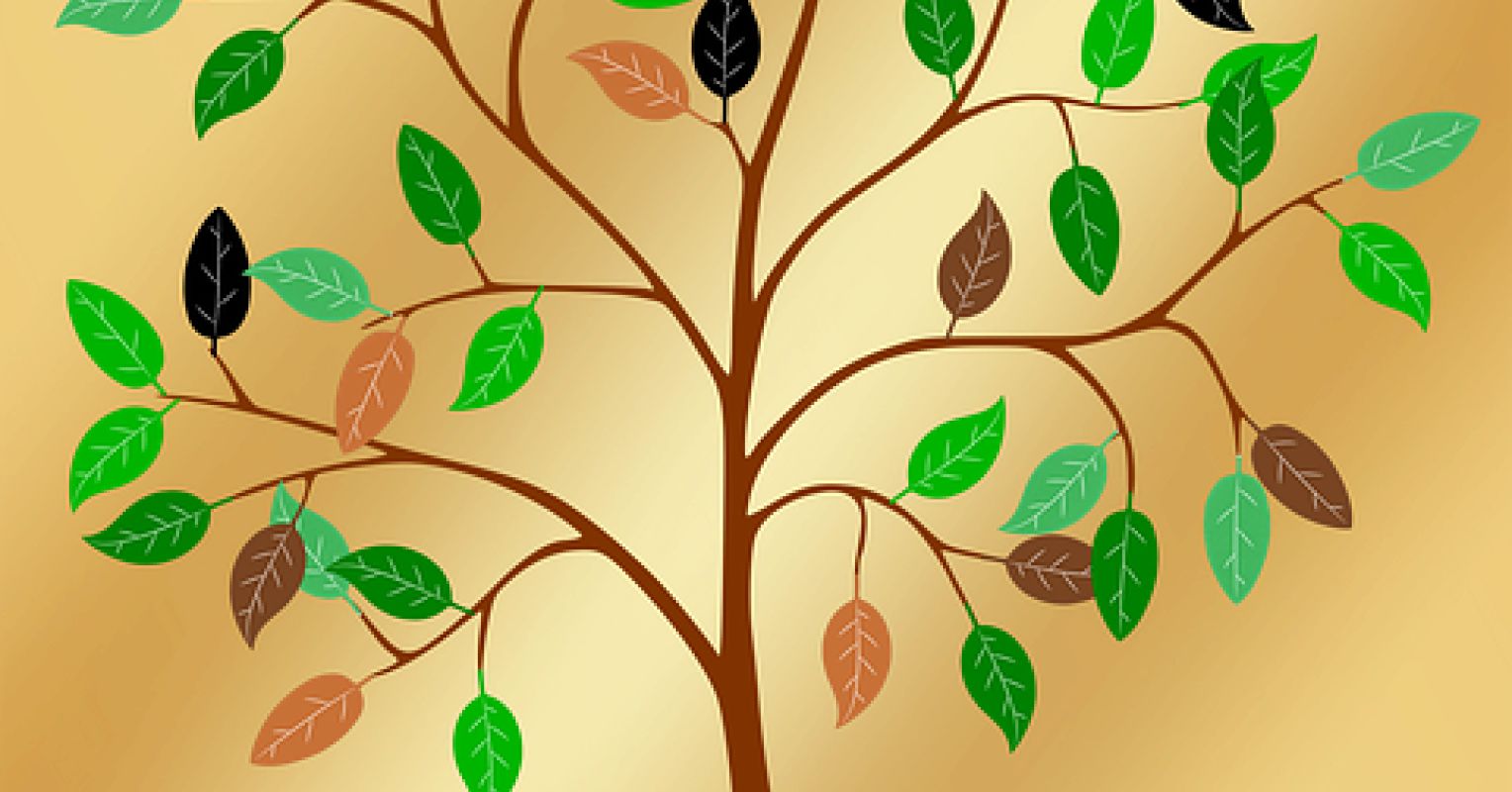 Understanding Life as a Developmental Process | Psychology Today