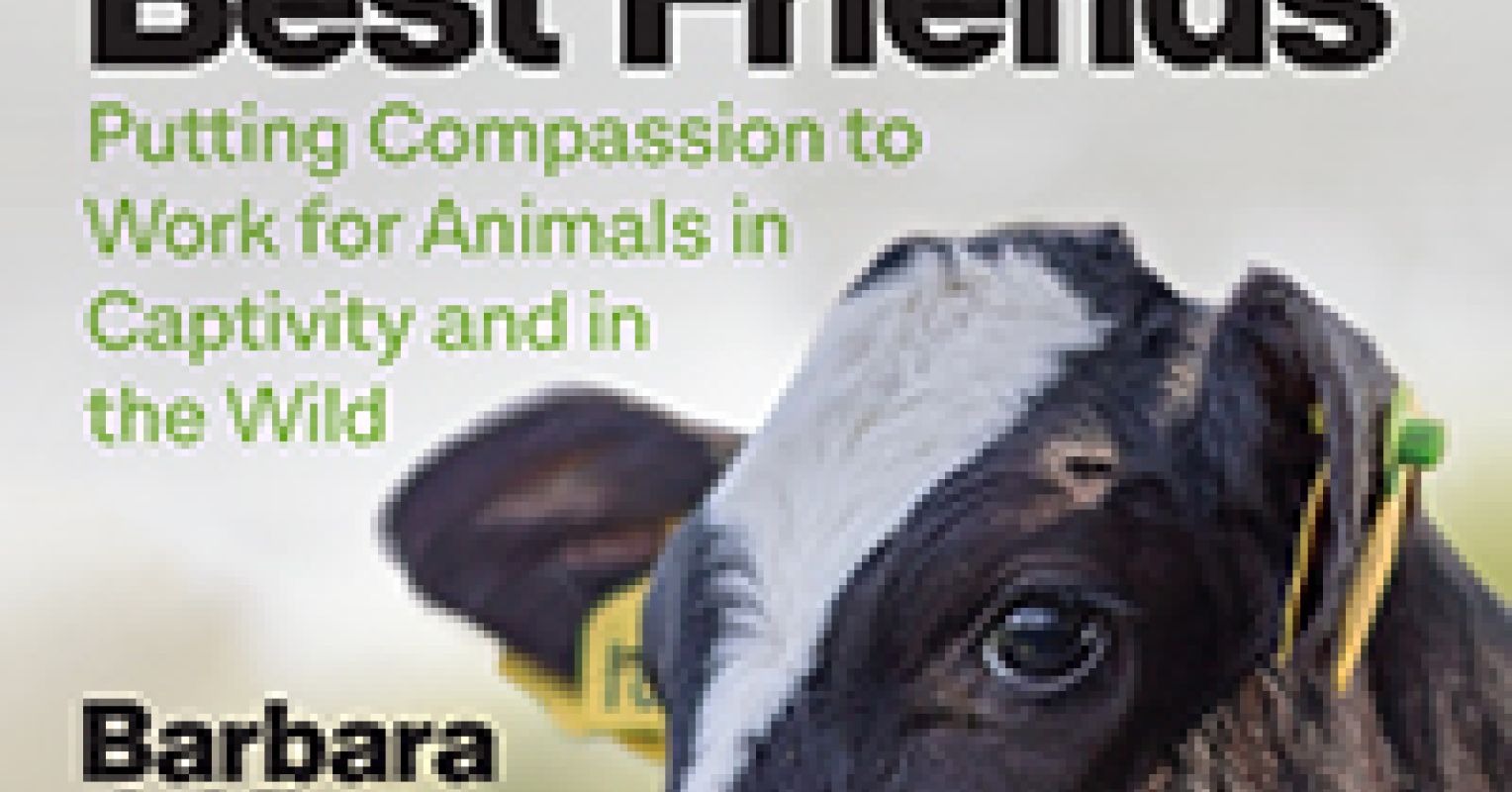 Engaging in Compassionate Action for Animals | Psychology Today