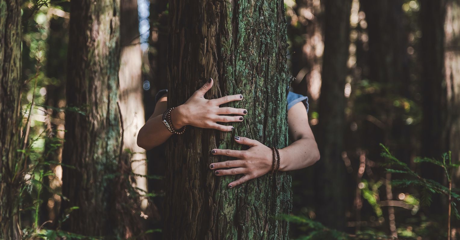 The Moral Compasses of Tree-Huggers and Human-Lovers | Psychology Today