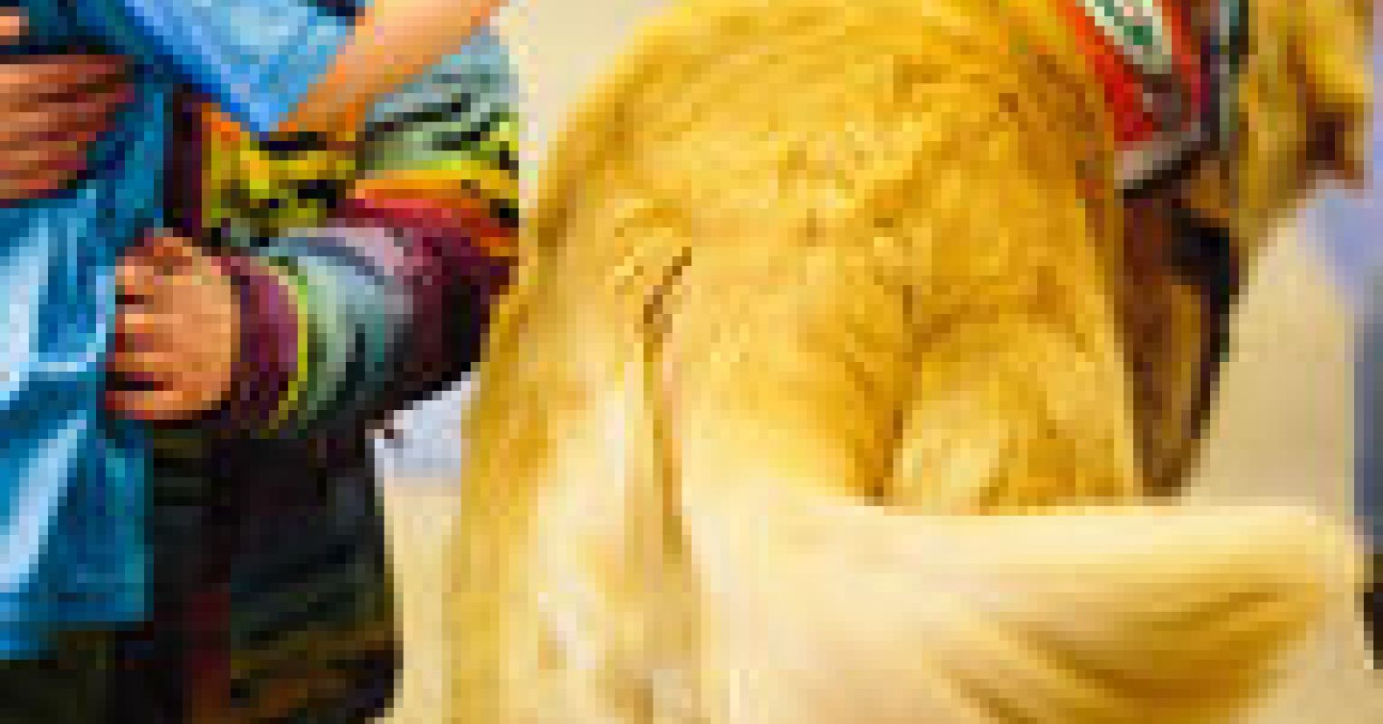 A Kid's Guide to Meeting a New Dog | Psychology Today