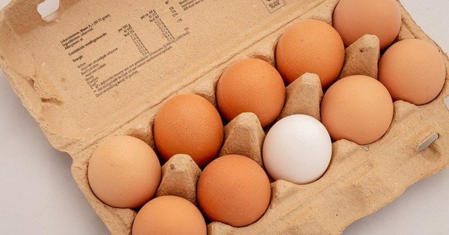 How the Human Brain Evolved to Be Racist | Psychology Today