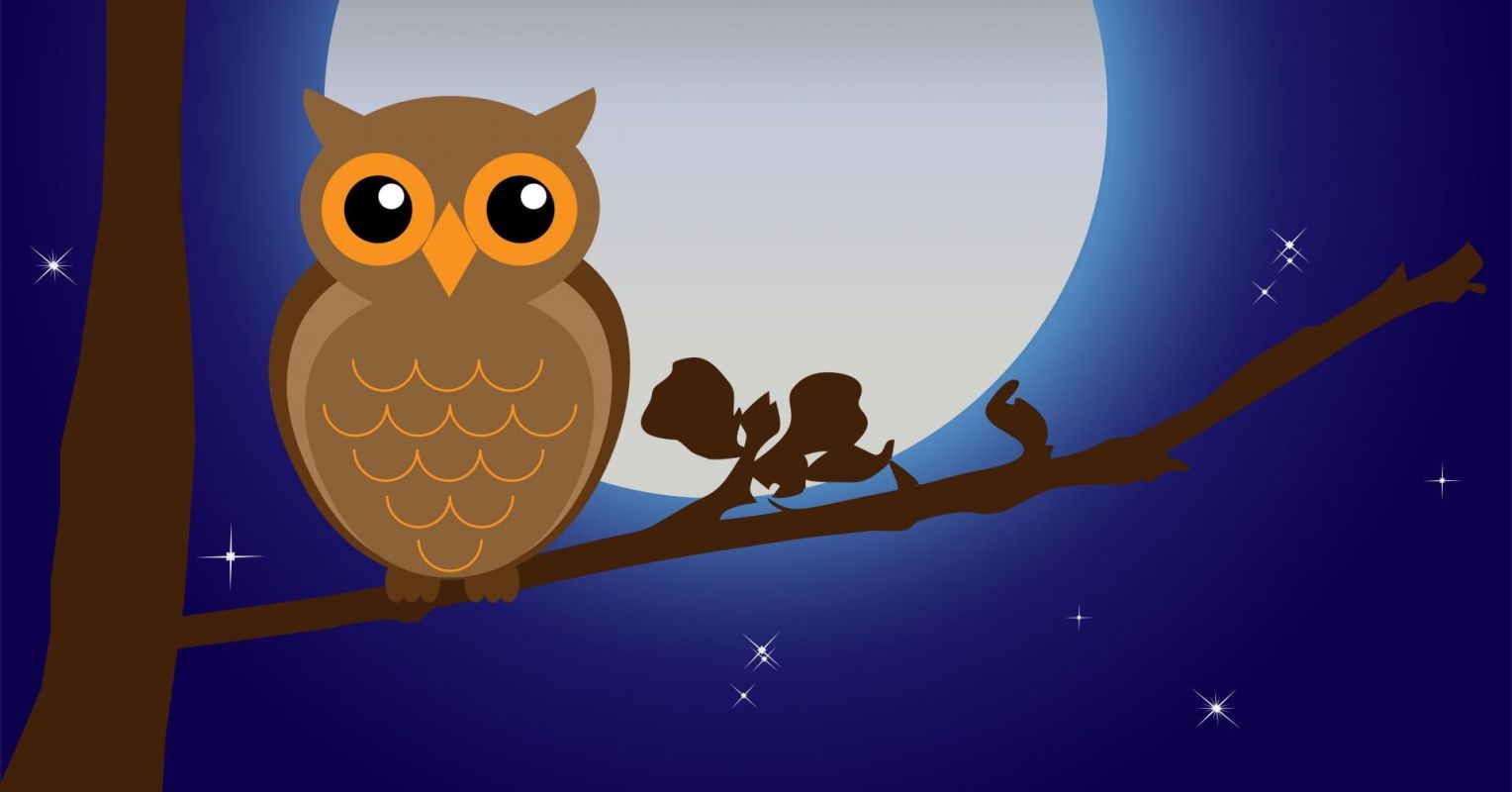 Does Being a Night Owl Increase Your Risk of Depression? | Psychology ...