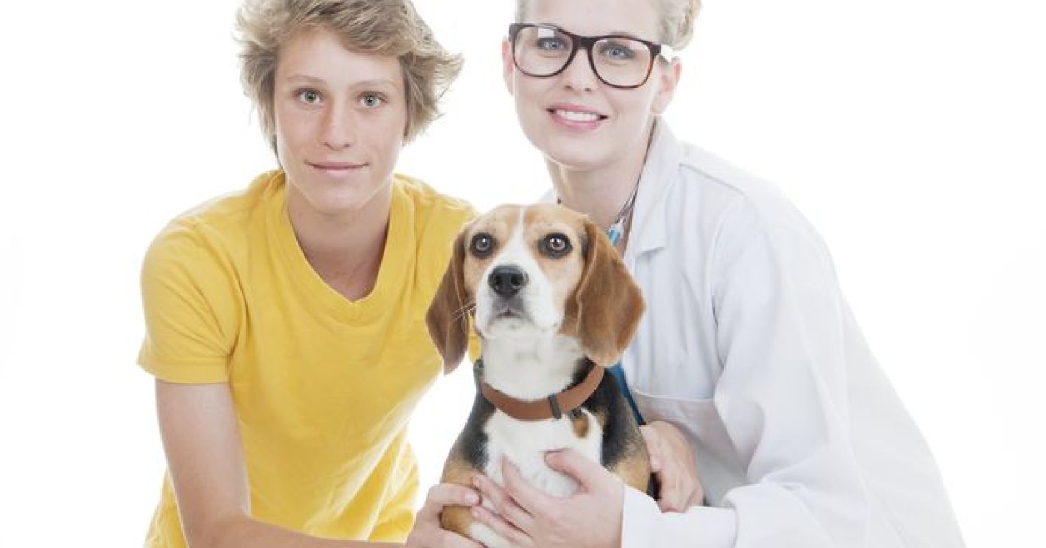 Women Dominate Research on the Human-Animal Bond | Psychology Today