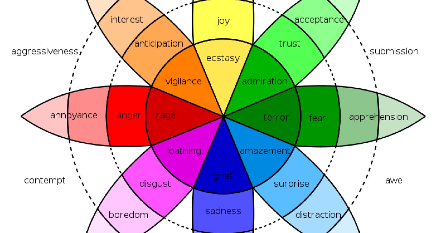 Collectors Categorized: How Each Collector is Different | Psychology ...