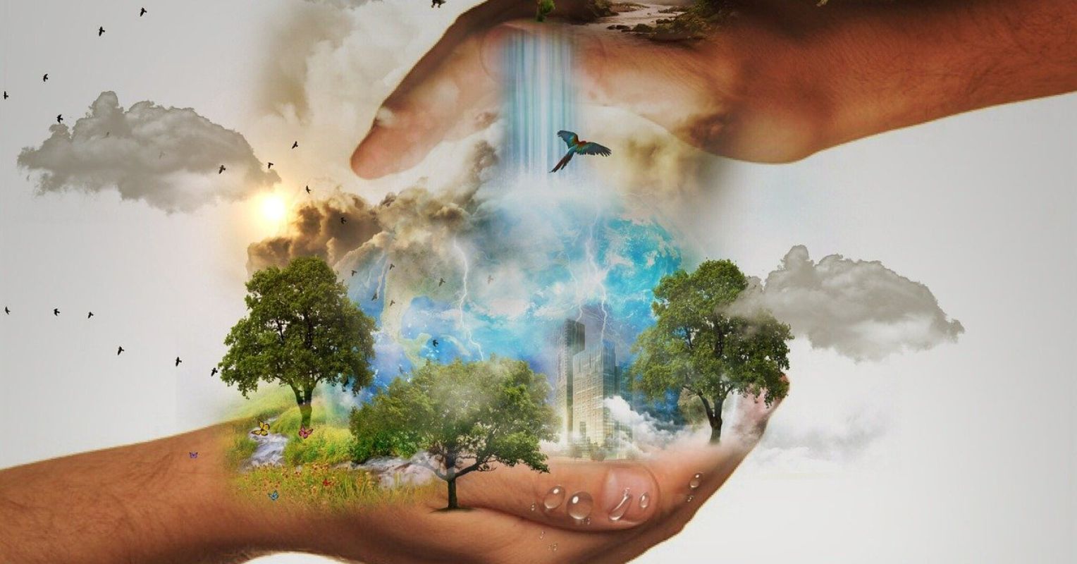 The Perpetual Paradox: Ecological Shock Therapy and Hope | Psychology Today