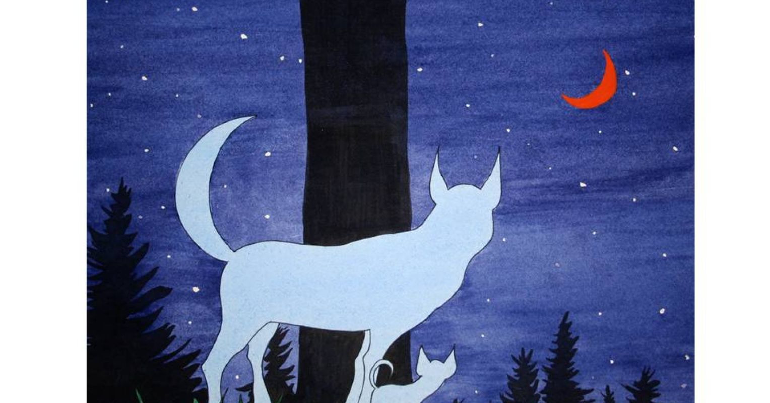 does the moon phase affect dogs