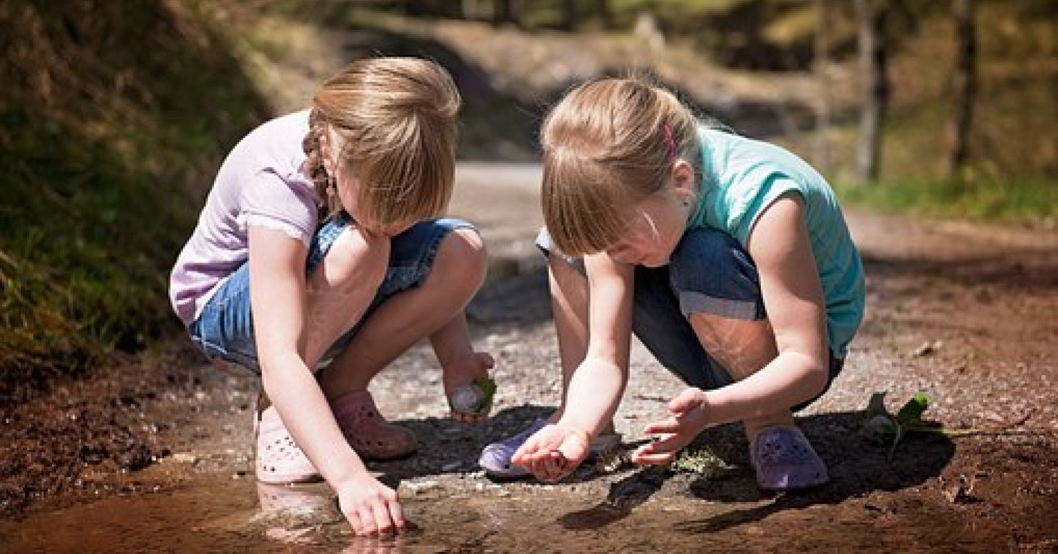 How Engaging With Nature Bolsters Creativity in Children and Adults ...