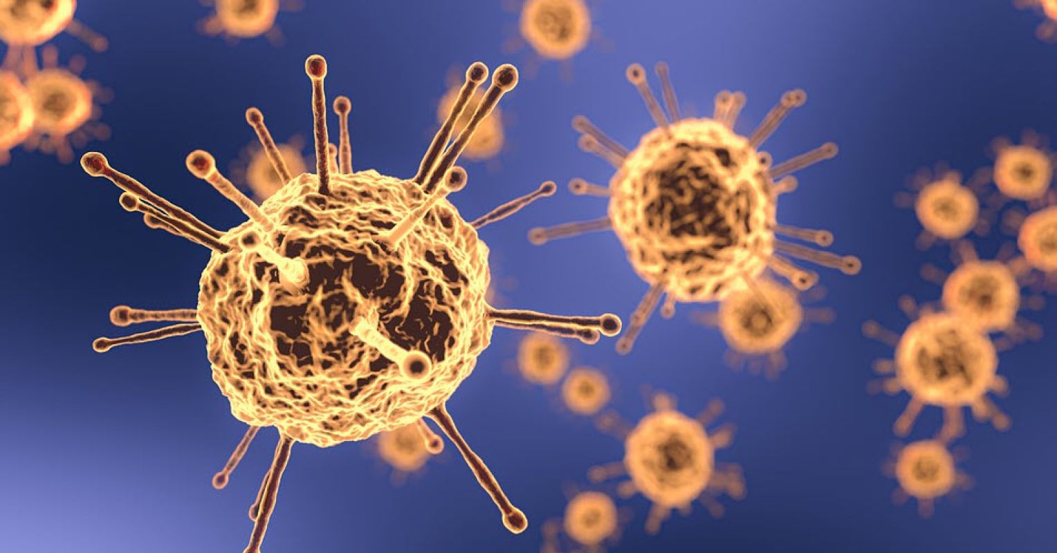 AI May Predict Which Viruses Spread from Animals to Humans | Psychology ...