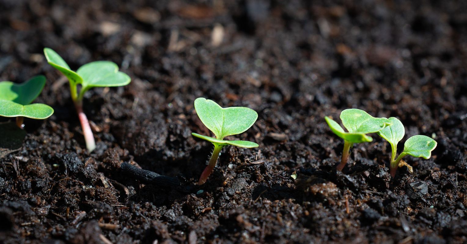 9 Ways to Create a Thriving Environment at Work or Home | Psychology Today