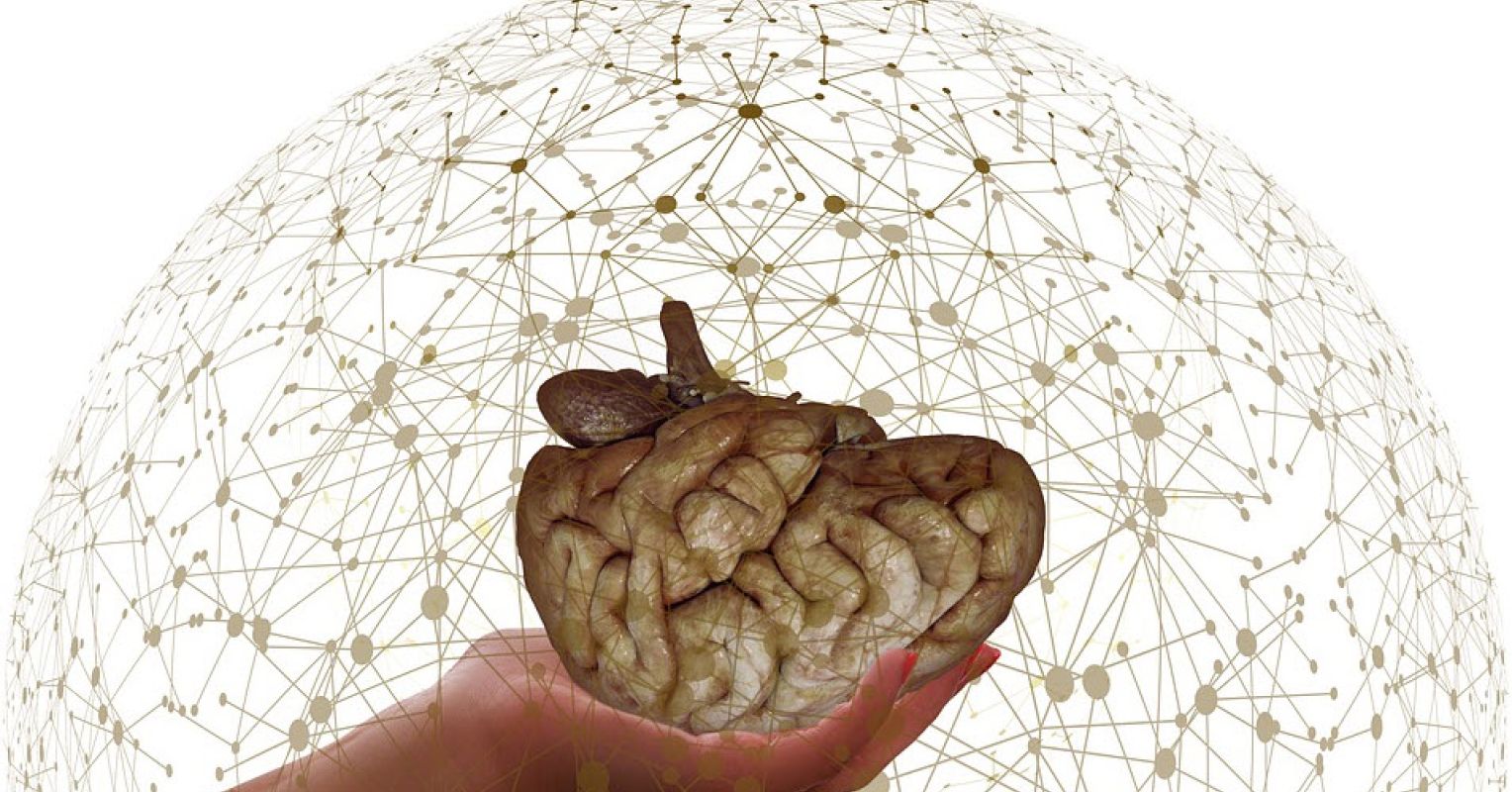 Improved Neuromorphic AI Uses Human Brain Scans | Psychology Today