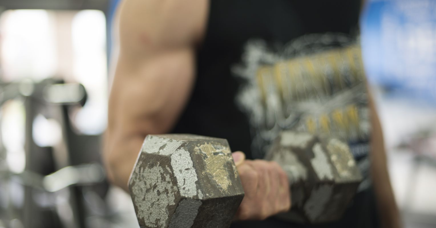 Endocannabinoids and the Anti-inflammatory Power of Exercise ...