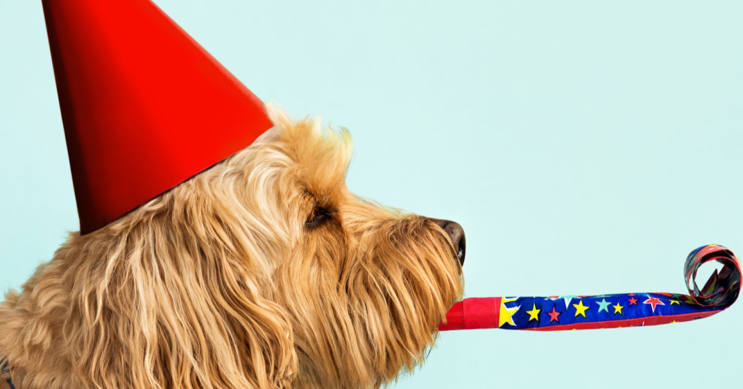 Why It's Important to Celebrate Small Successes | Psychology Today