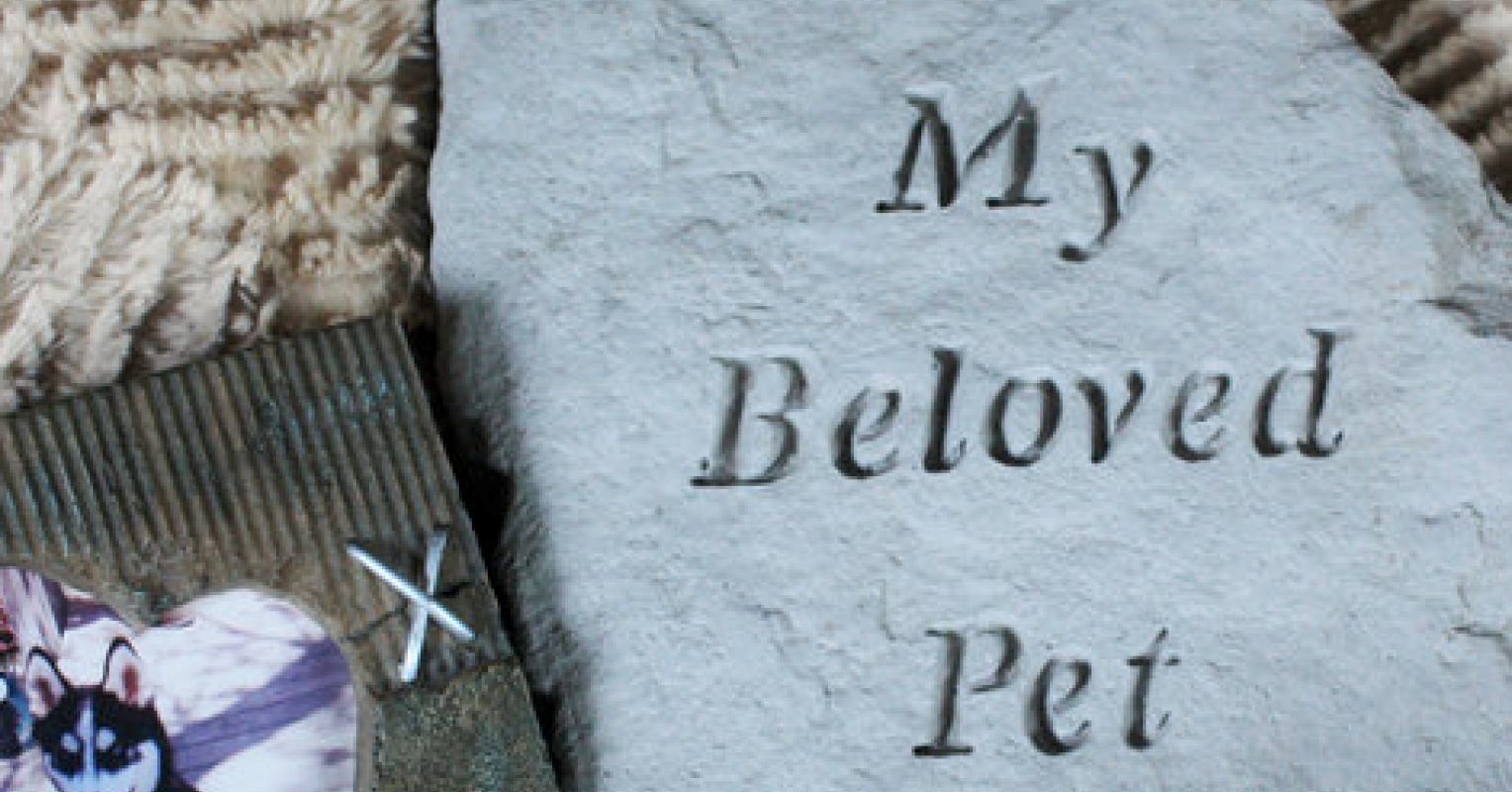 Can Bereaved Pet Owners Suffer Prolonged Grief Disorder? | Psychology Today