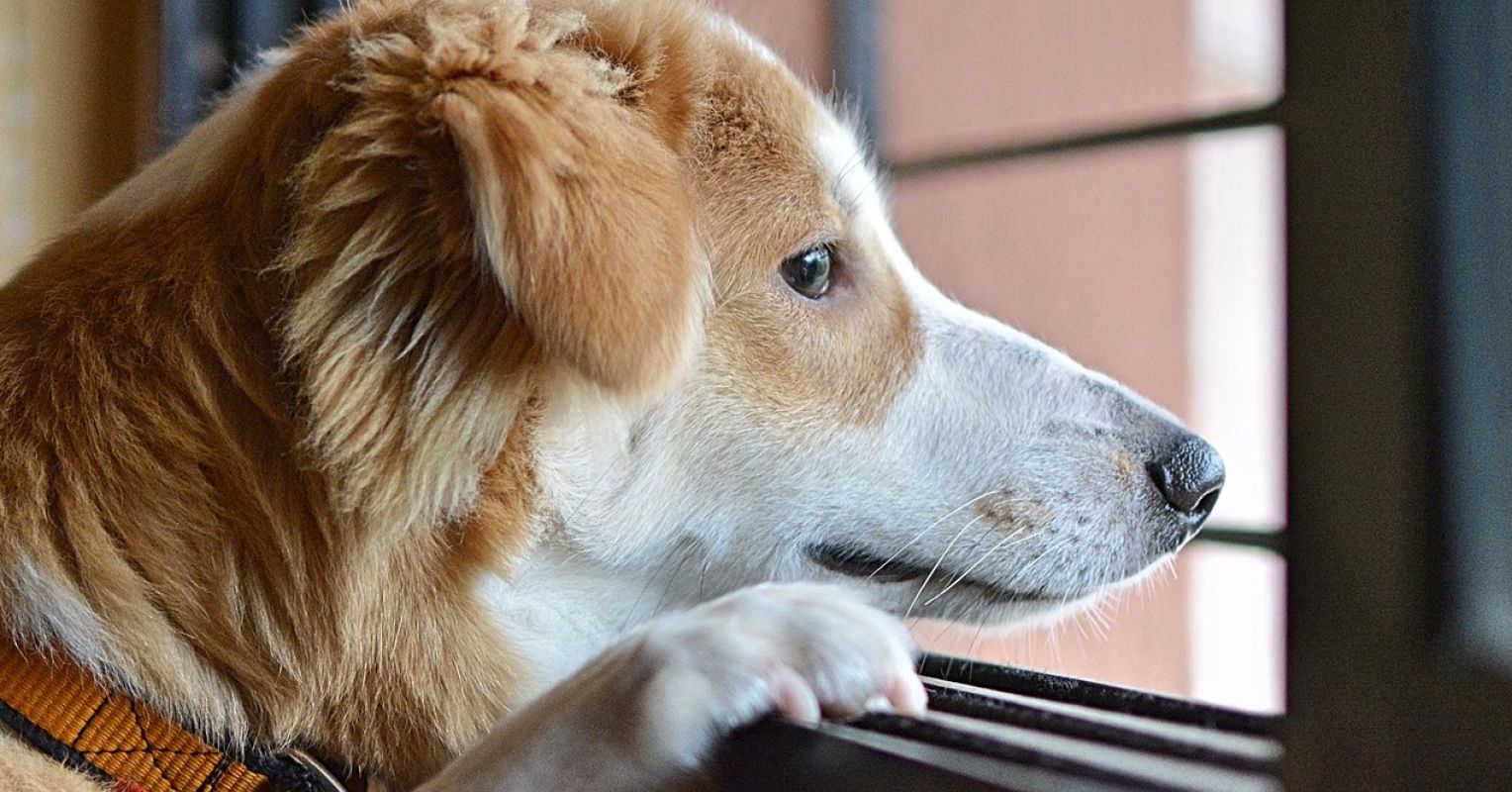 How to Increase Your Self-Control | Psychology Today South Africa