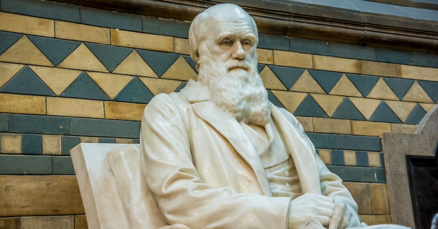 Charles Darwin: A Life of Illness and Creativity | Psychology Today