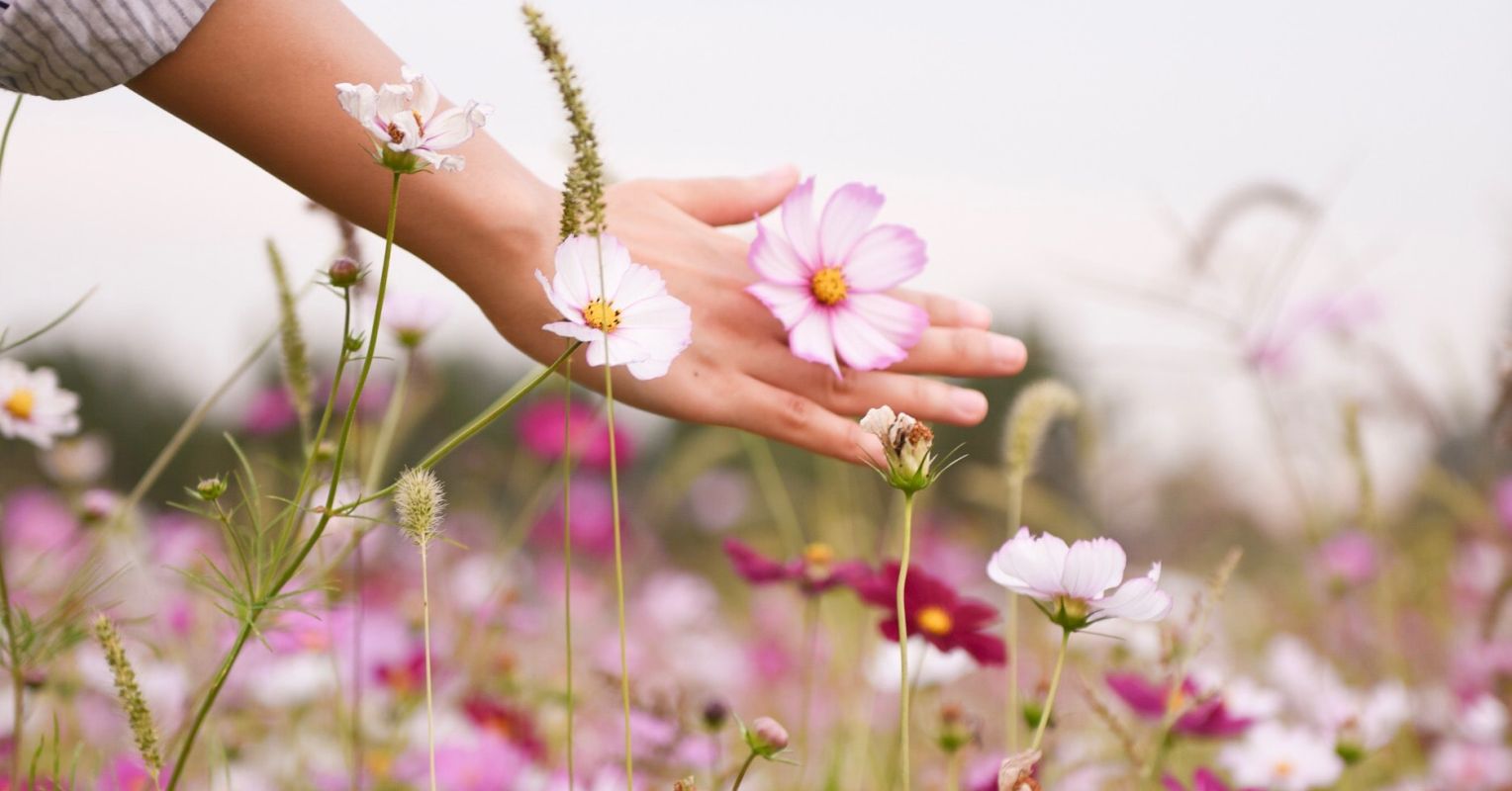 6 Ways to Let Spring Give You Hope | Psychology Today