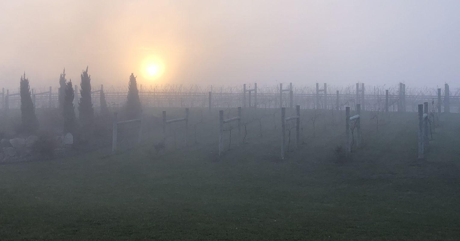 Clouded Judgment on Aducanumab | Psychology Today