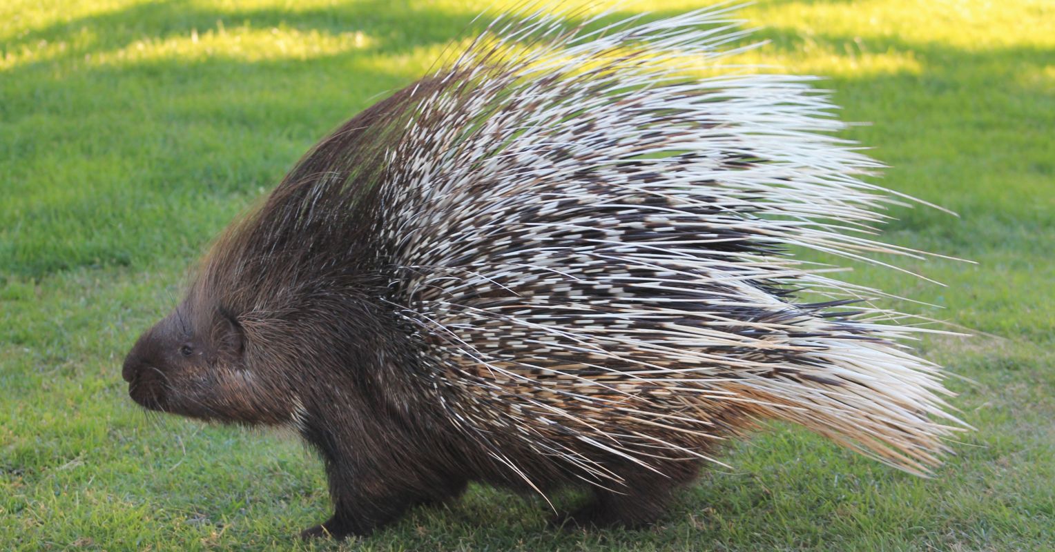 Partnership Troubles? This May Be Why. | Psychology Today