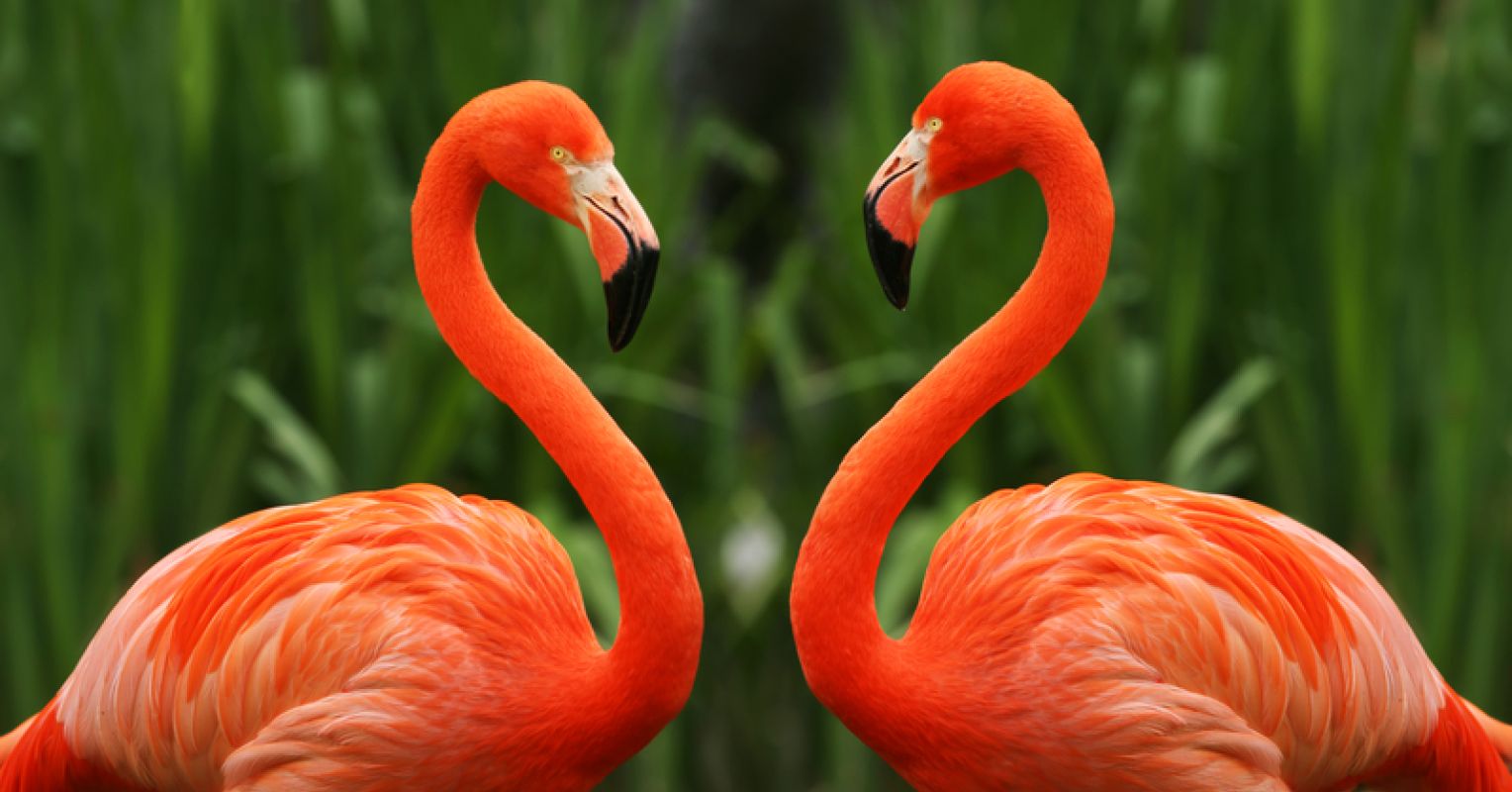 The Value Of Direct Communication About Sex Psychology Today United