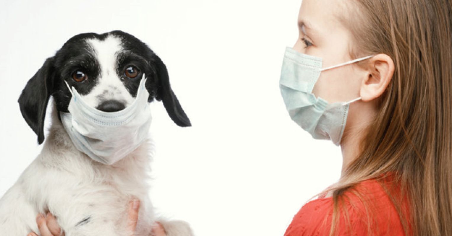 What You Didn't Know About Having a Pandemic Pet | Psychology Today