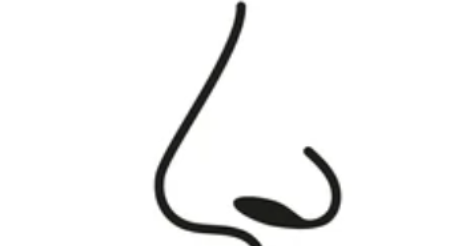 Retrousse Nose Profile Clipart