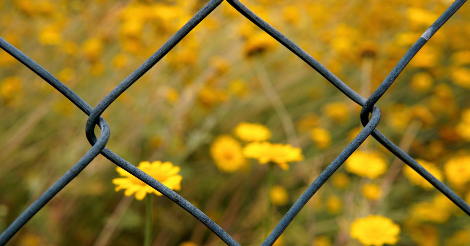 3 New Findings on Beating Bad Habits | Psychology Today