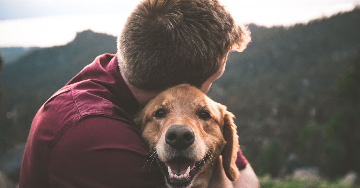 Do Dogs Look Like Their Owners? | Psychology Today