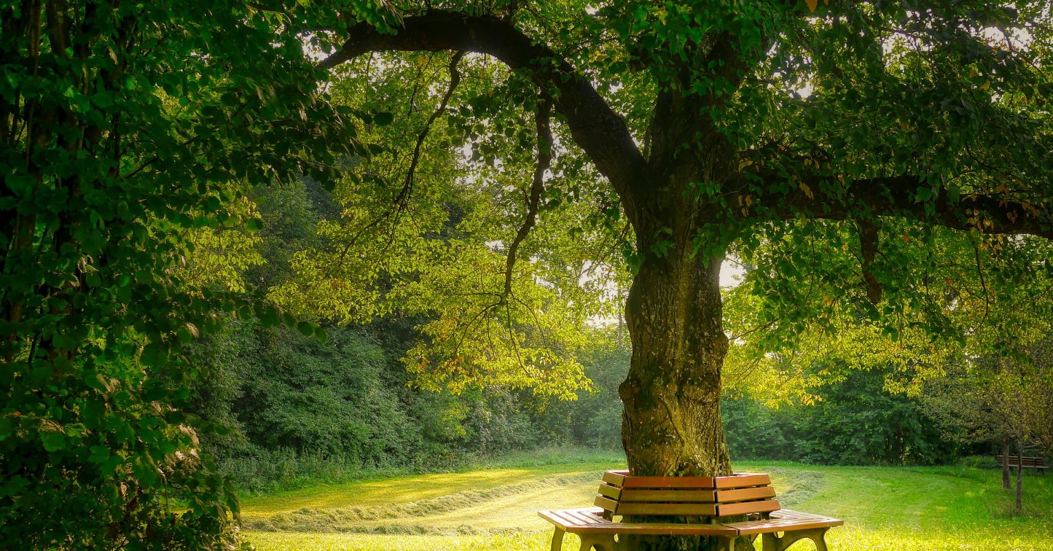 How to Find Comfort and Ease Amid Difficult Emotions | Psychology Today