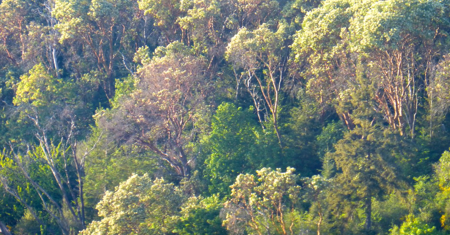 The Legacy of Growth | Psychology Today