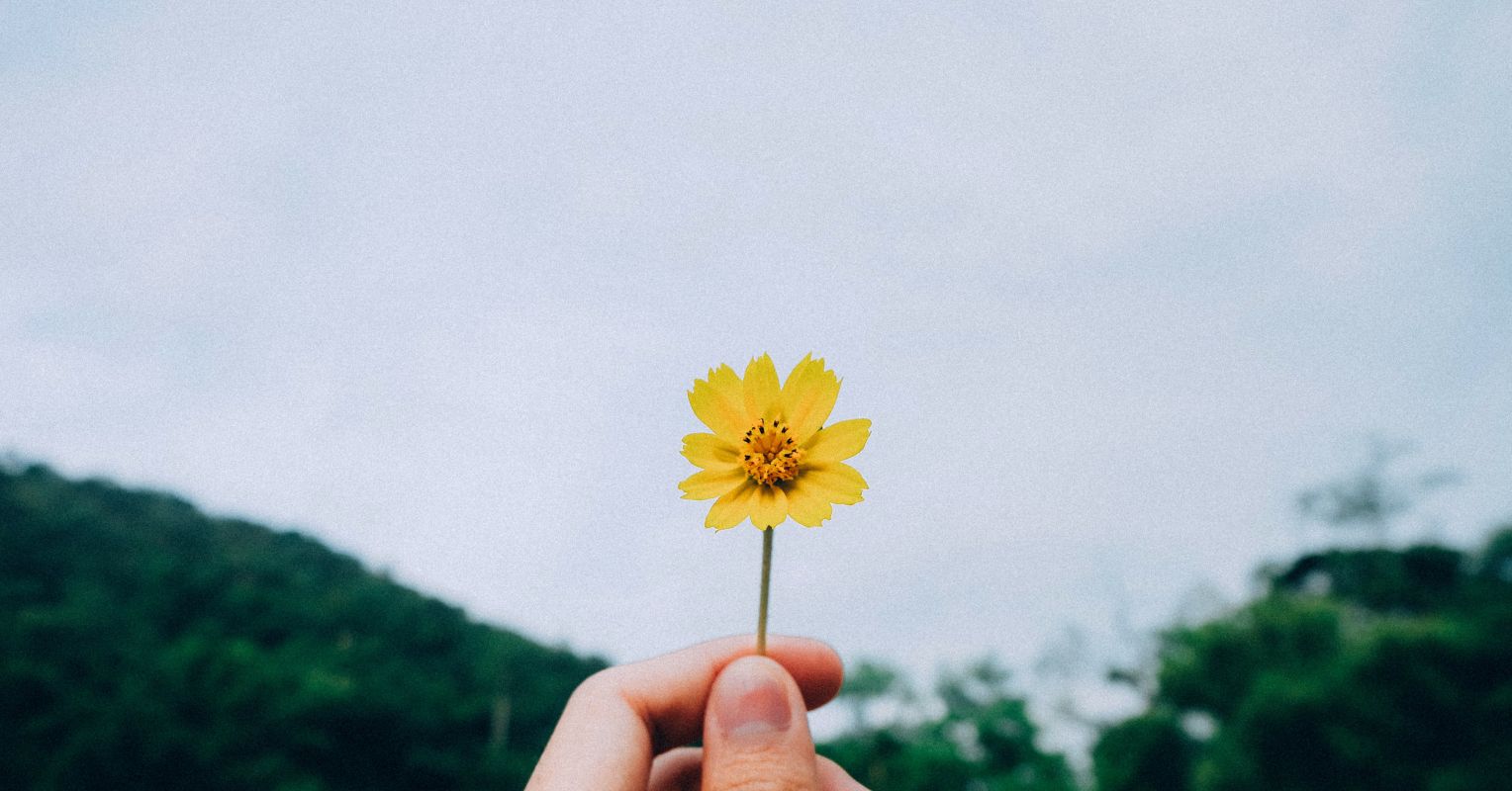 If Happiness Is Elusive, Try a Little Contentment Instead | Psychology ...