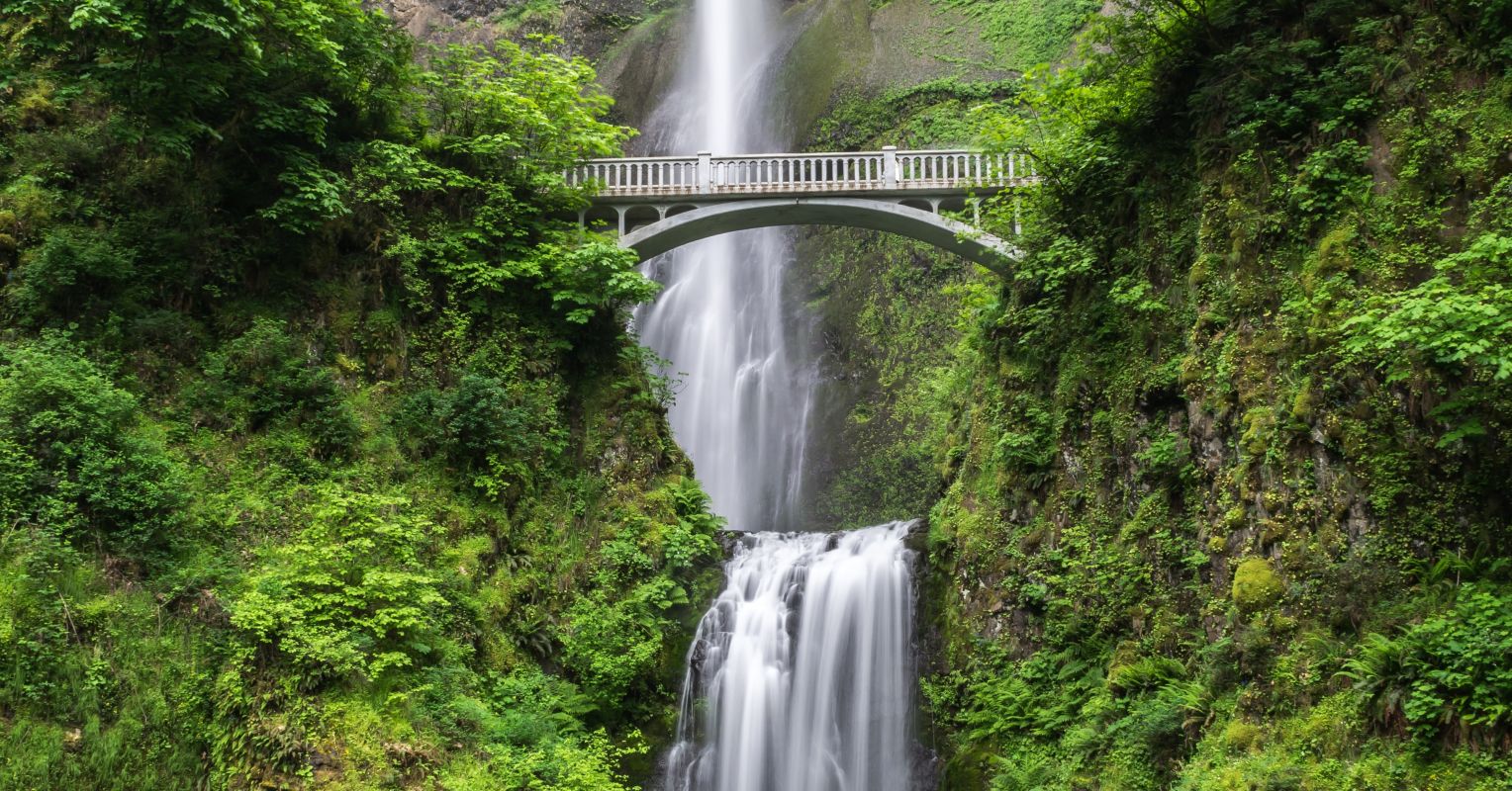 The Power of Visual Motion Priming | Psychology Today