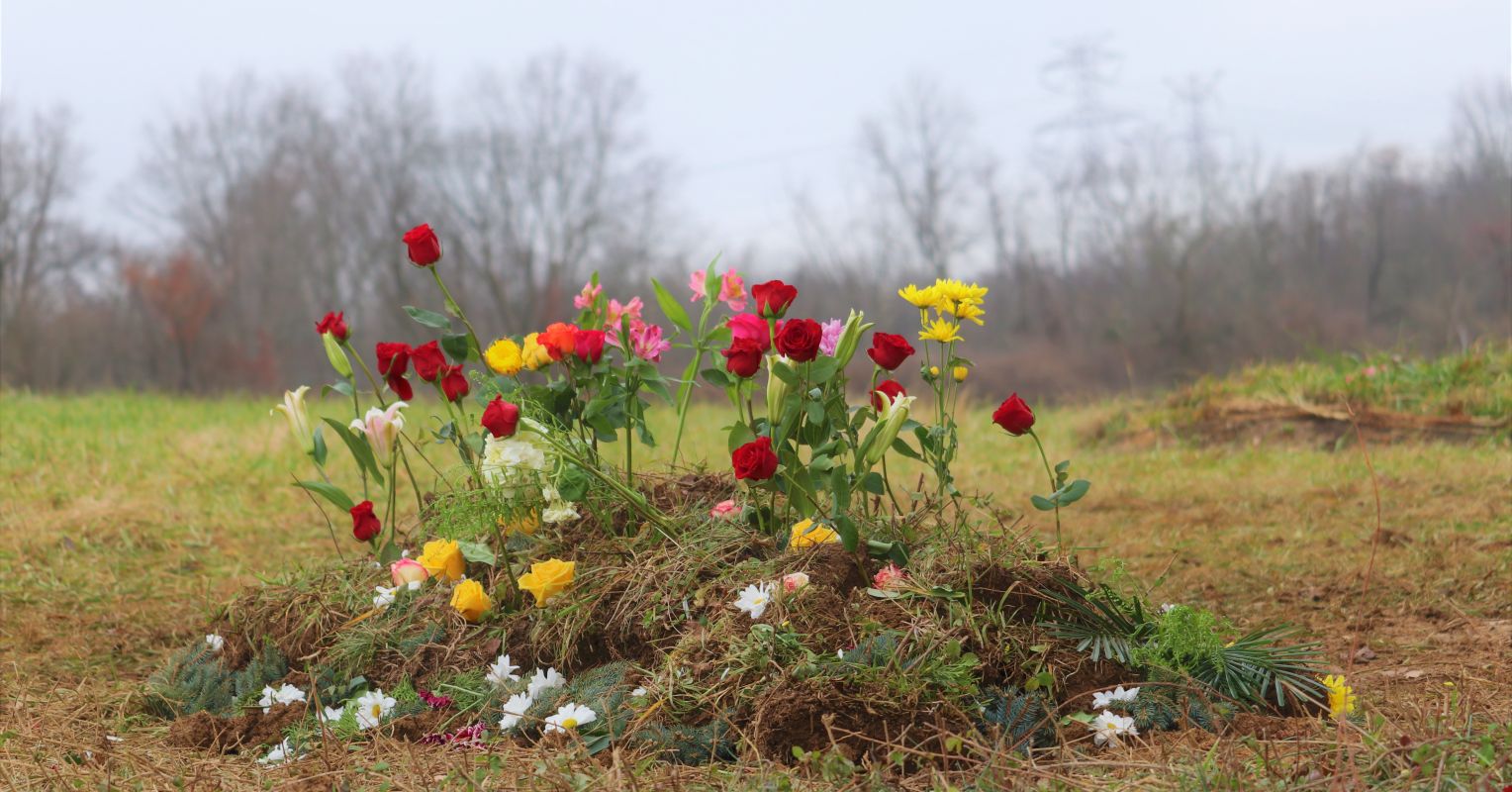 Maranasati: Where Meditation and Green Burial Intersect | Psychology Today