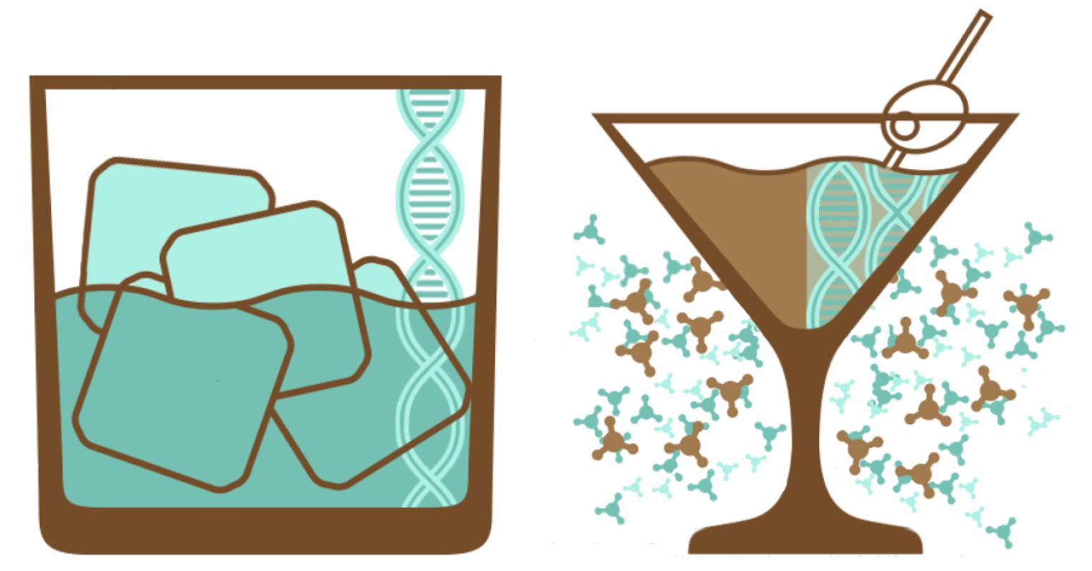 How Genes Can Influence Problem Drinking | Psychology Today