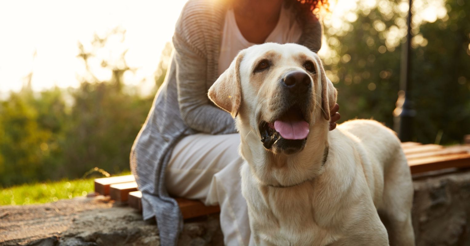 21 Ways to Give Your Dog a Great Quality of Life | Psychology Today