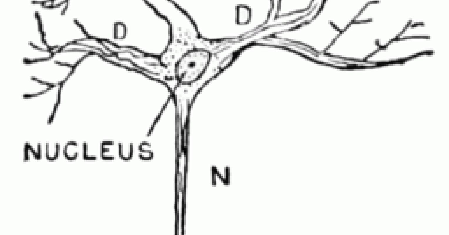 Is ADHD Genetic? | Psychology Today