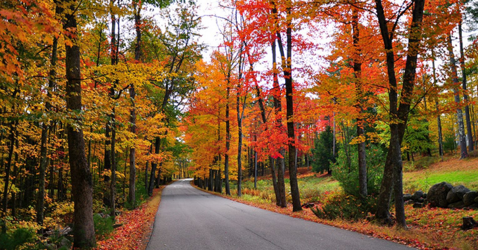 On Autumn and Fall, Life's Last Smile | Psychology Today Singapore