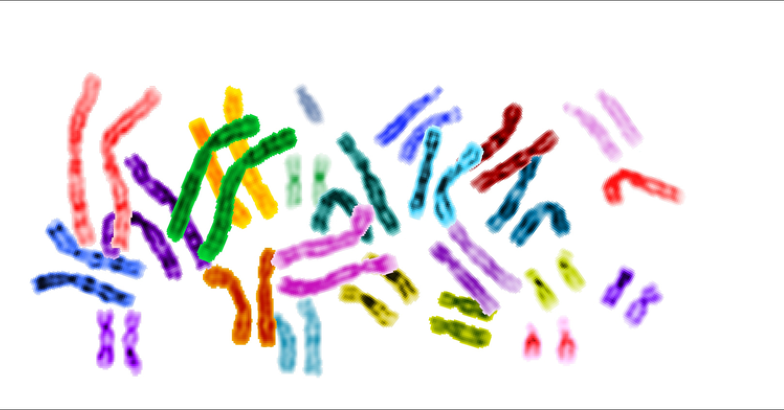 XO in XY | Psychology Today United Kingdom