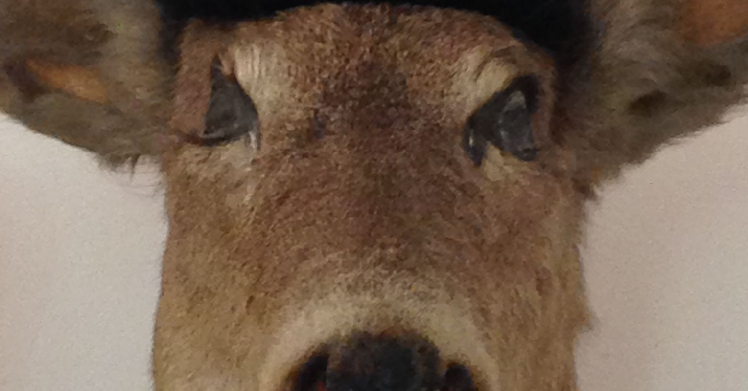 Lightman's Universe | Psychology Today