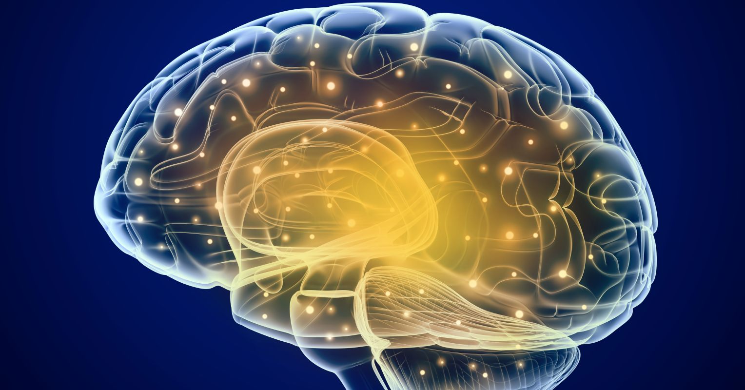 Idiosyncratic Brain Synchronization Associated with Autism | Psychology ...