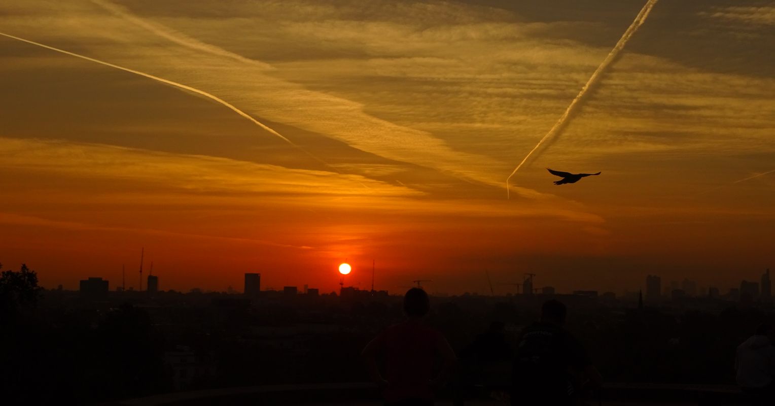 The Psychology of the Political Coup | Psychology Today